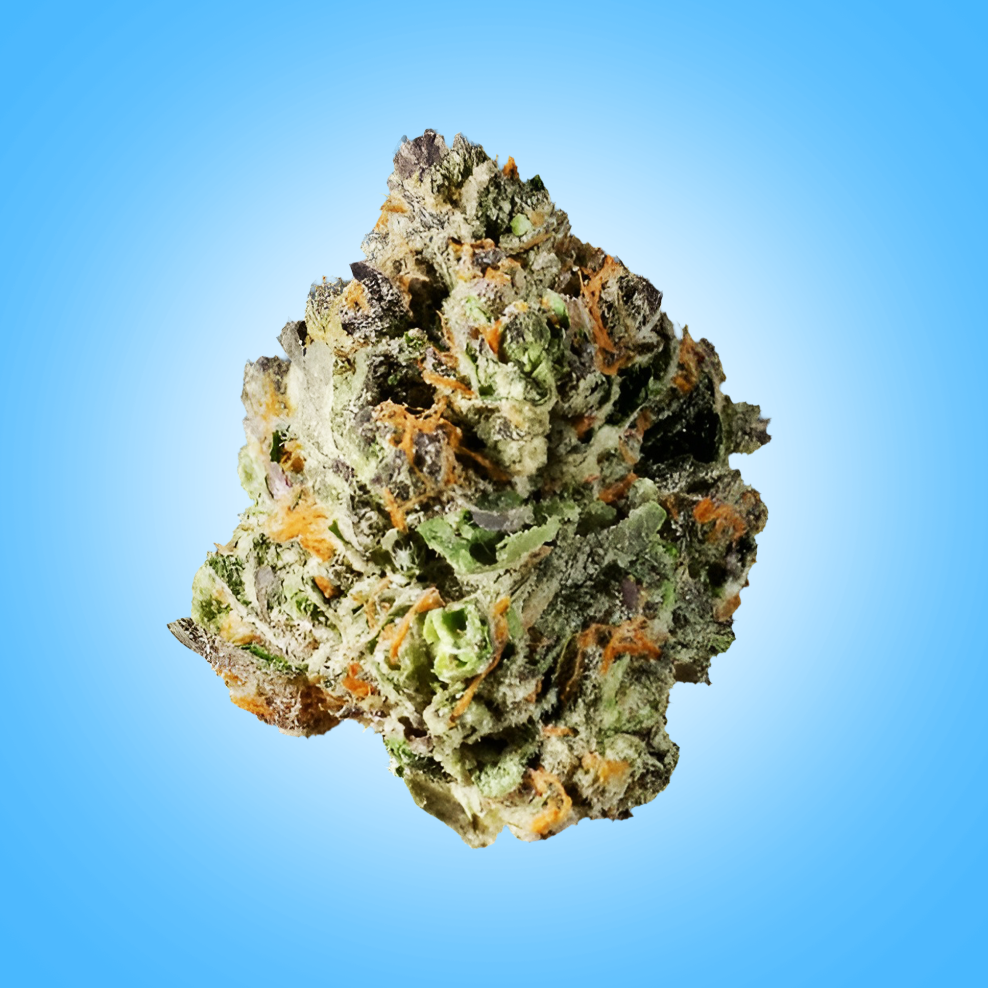Indica • Chem Dog (Economy)– Cura Farms