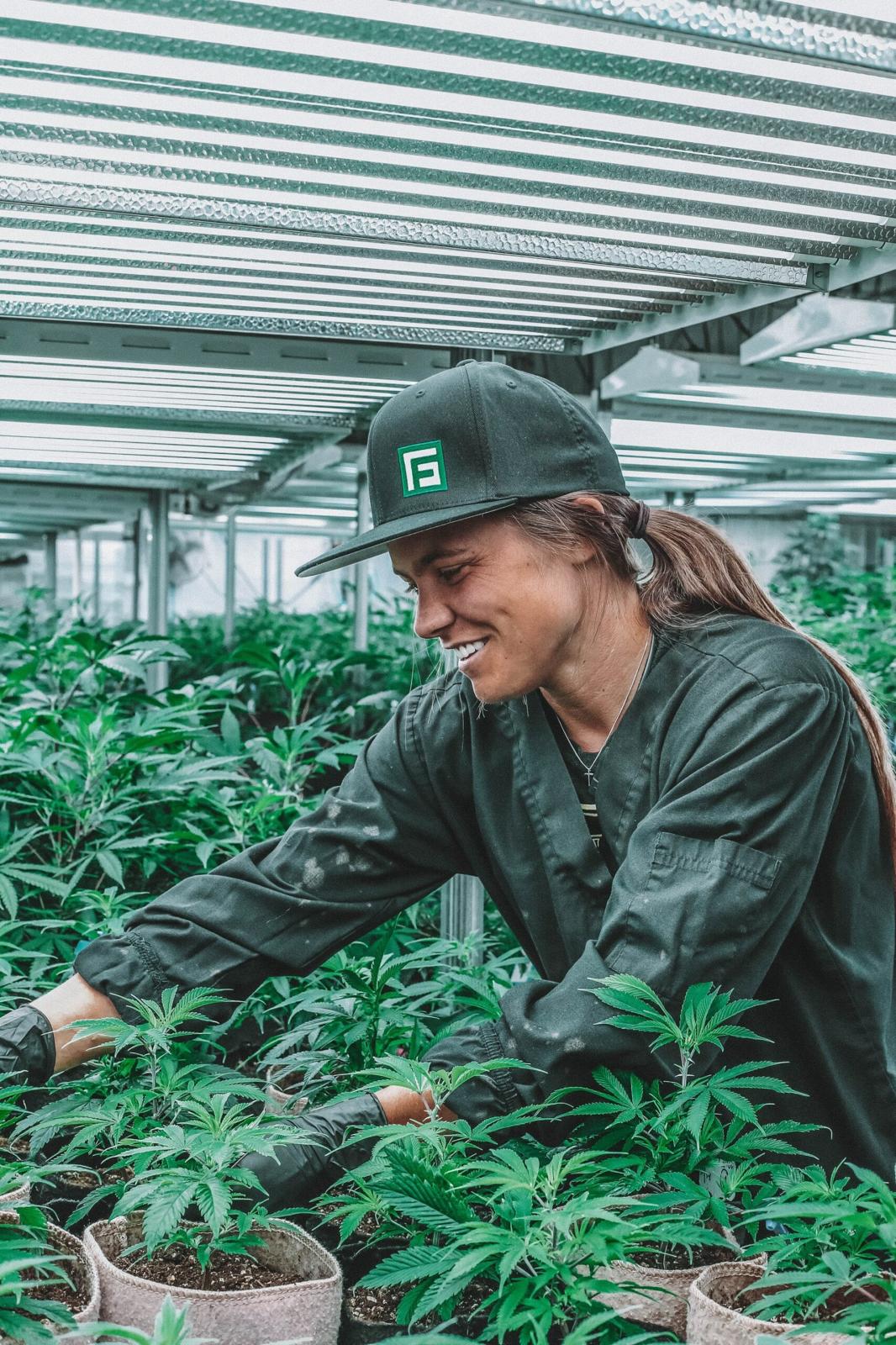 Who we are and what we stand for– Cura Farms